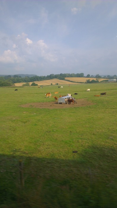 Landlord’s Rights of Entry Analysed in Farm Tenancies Dispute - Legal RSS